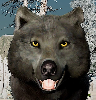Wolves of the Lucky Pack | WolfQuest Wiki | Fandom