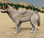 Blacktail Deer Plateau Coats | WolfQuest Wiki | Fandom