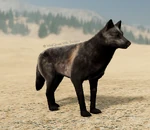 Unlockable Coats | WolfQuest Wiki | Fandom
