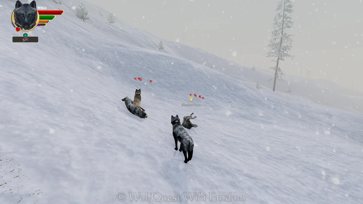 Mate Army | WolfQuest Wiki | Fandom