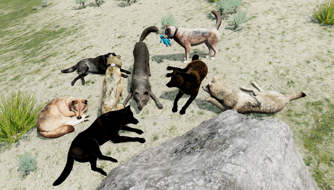 Multiplayer | WolfQuest Wiki | Fandom