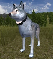 WolfQuest: Classic | WolfQuest Wiki | Fandom