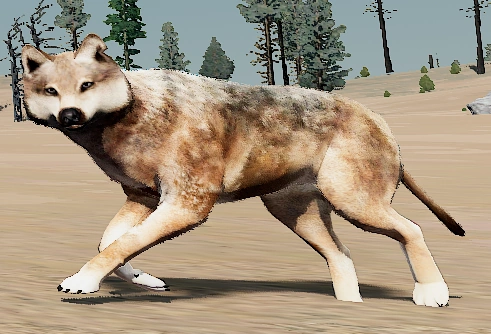 Wolves of the Mollies Pack | WolfQuest Wiki | Fandom
