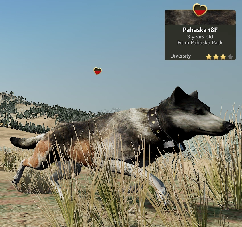 Pahaska Pack | WolfQuest Wiki | Fandom