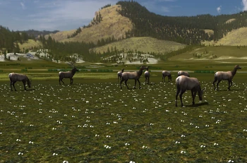 Elk | WolfQuest Wiki | Fandom