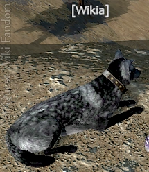 Limbo | WolfQuest Wiki | Fandom