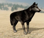 Gray wolf pup/Coats | WolfQuest Wiki | Fandom