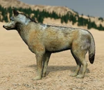 IWC Ambassador Wolves Coats | WolfQuest Wiki | Fandom