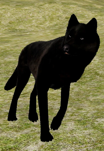 Wolves of the Van Winkle Pack | WolfQuest Wiki | Fandom