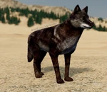 Cool Coats | WolfQuest Wiki | Fandom