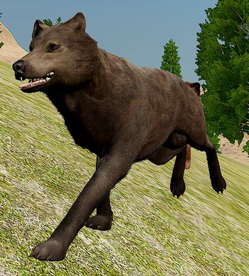 Wolves of the Elevation Pack | WolfQuest Wiki | Fandom