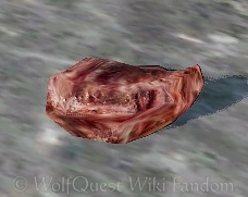 Meat chunk | WolfQuest Wiki | Fandom