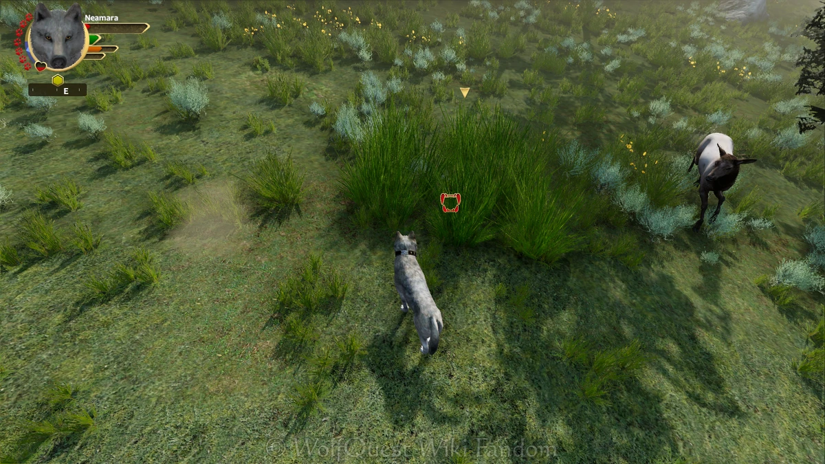 Vegetation | WolfQuest Wiki | Fandom