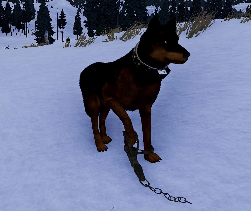 Traps | WolfQuest Wiki | Fandom