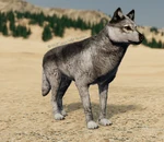 Founders Coats | WolfQuest Wiki | Fandom