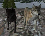 Customization | WolfQuest Wiki | Fandom