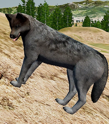 Wolves of the Elevation Pack | WolfQuest Wiki | Fandom