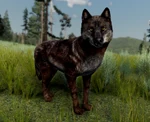 Yellowstone Wolf Coats | WolfQuest Wiki | Fandom