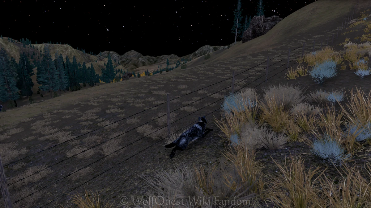 Cattle ranch: Walkthrough | WolfQuest Wiki | Fandom