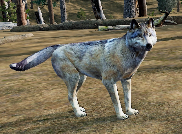 Oxbow Pack | WolfQuest Wiki | Fandom