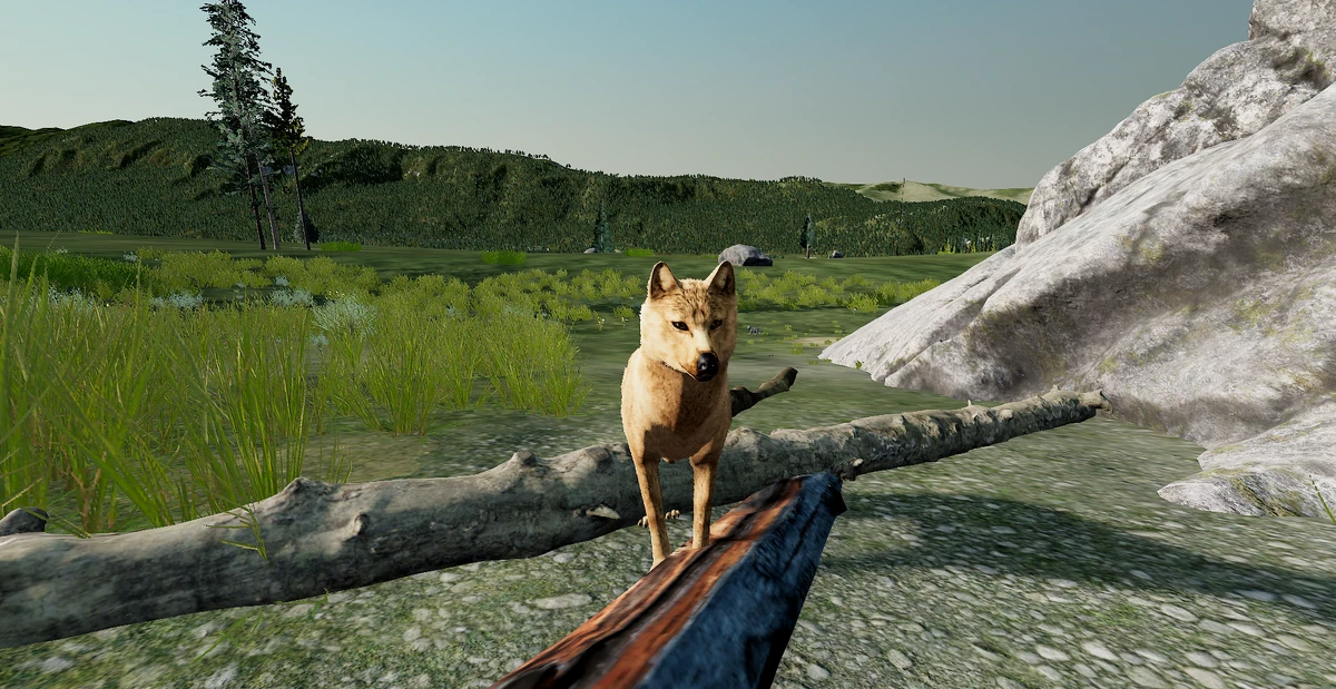 Category:Wolves | WolfQuest OC's Wiki | Fandom