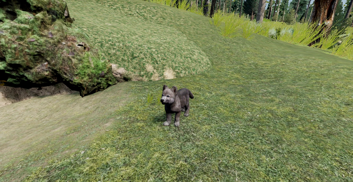 Creek (CCr) | WolfQuest OC's Wiki | Fandom