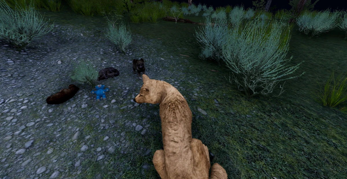 Cherry (FFo) | WolfQuest OC's Wiki | Fandom