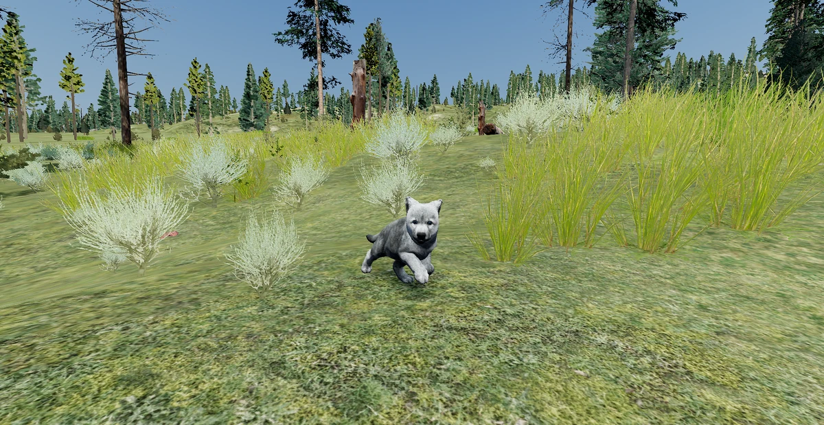 River (CCr) | WolfQuest OC's Wiki | Fandom