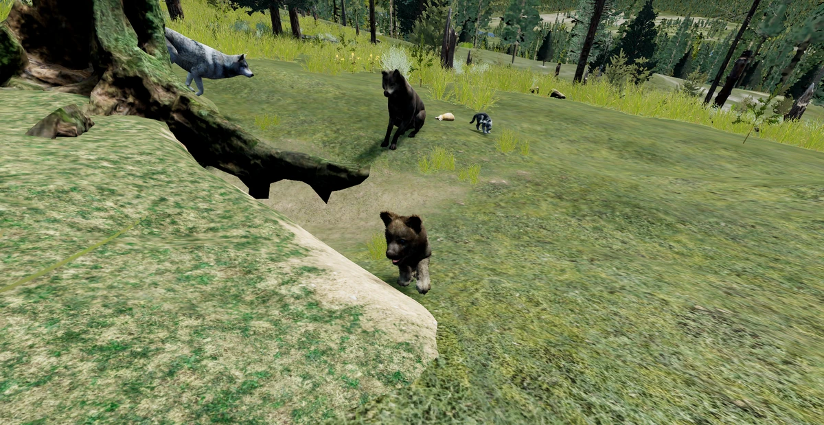 Blossom (CCr) | WolfQuest OC's Wiki | Fandom