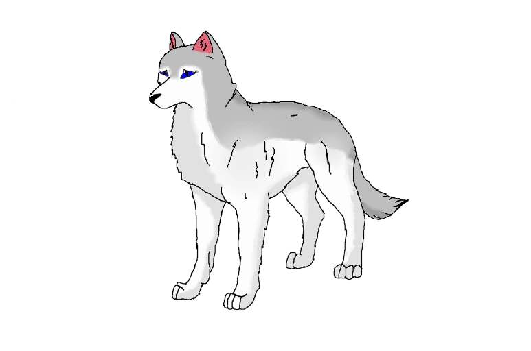 Silverfang | Wolf Roleplaying Wiki | Fandom