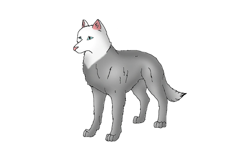 Moon | Wolf Roleplaying Wiki | Fandom