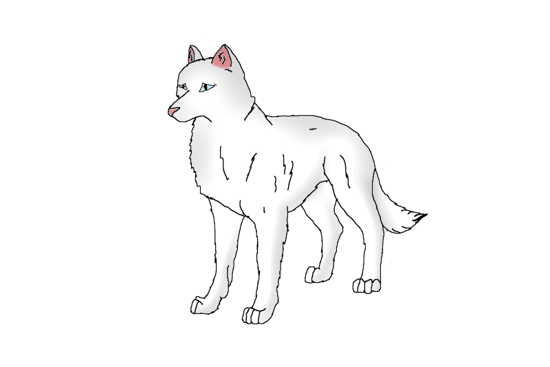 Cloud (GP) | Wolf Roleplaying Wiki | Fandom