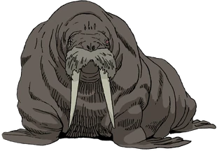 Giant Walrus | Wolf's Rain Wiki | Fandom