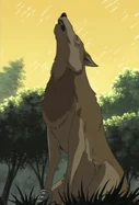 Toboe | Wolf's Rain Wiki | Fandom