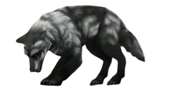 List Of Wolf Skins | WolfTales Wiki | Fandom