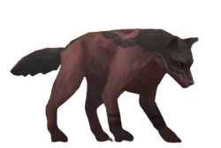 List Of Wolf Skins | WolfTales Wiki | Fandom