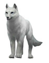 List Of Wolf Skins | WolfTales Wiki | Fandom