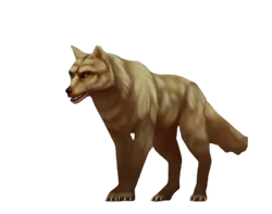 List Of Wolf Skins | WolfTales Wiki | Fandom
