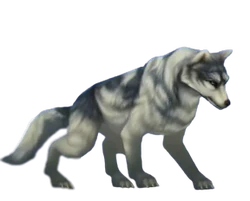 List Of Wolf Skins | WolfTales Wiki | Fandom