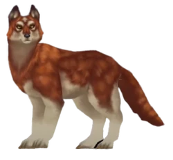 List Of Wolf Skins | WolfTales Wiki | Fandom