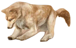 List Of Wolf Skins | WolfTales Wiki | Fandom