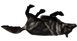 List Of Wolf Skins | WolfTales Wiki | Fandom