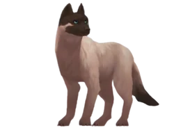 List Of Wolf Skins | WolfTales Wiki | Fandom