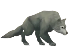 List Of Wolf Skins | WolfTales Wiki | Fandom