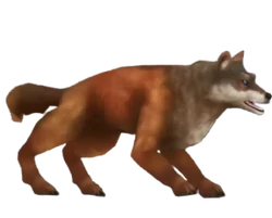 List Of Wolf Skins | WolfTales Wiki | Fandom
