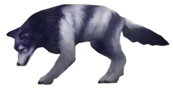 List Of Wolf Skins | WolfTales Wiki | Fandom