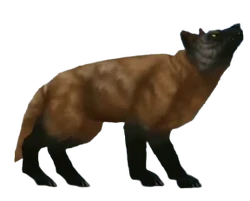 List Of Wolf Skins | WolfTales Wiki | Fandom