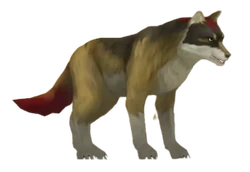 List Of Wolf Skins | WolfTales Wiki | Fandom