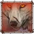 Battle Encounters | Wolvden Wiki | Fandom
