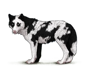 Secondary Mutations | Wolvden Wiki | Fandom